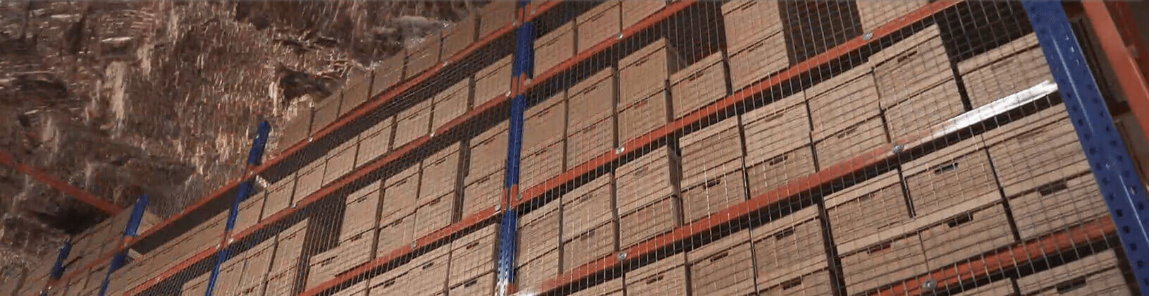 Document & Records Management Services | DeepStore